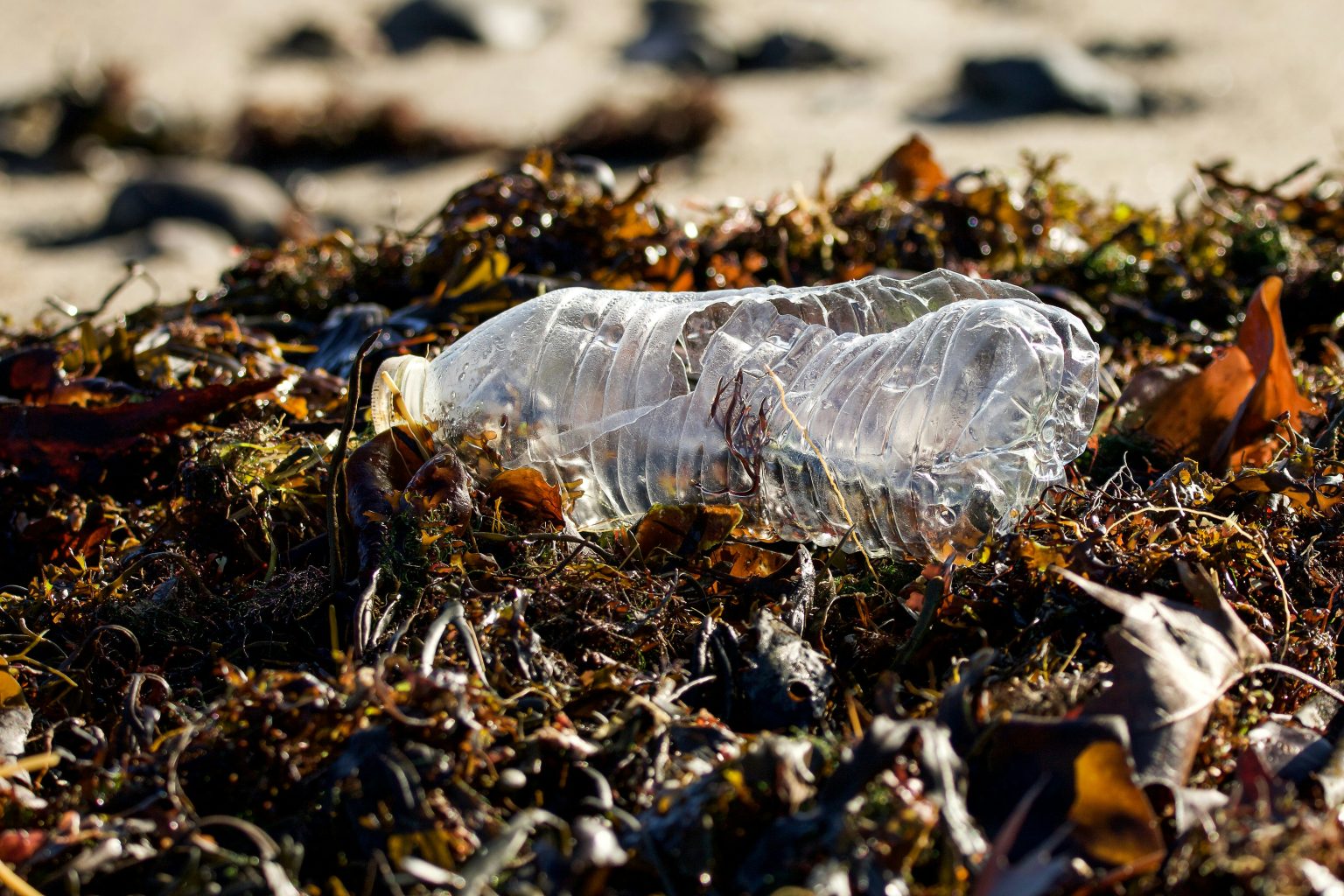 Choosing Between Stainless Steel and Plastic for Your Water Bottle ...